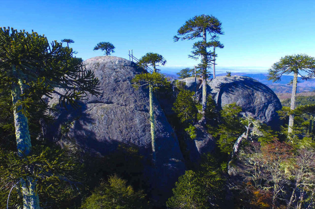 Angol - Malleco es Cultura